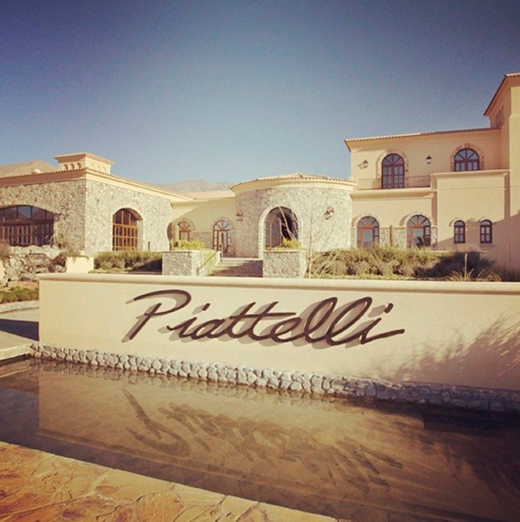 Piattelli Vineyards: Premium Wines from the Heights of Cafayete ...