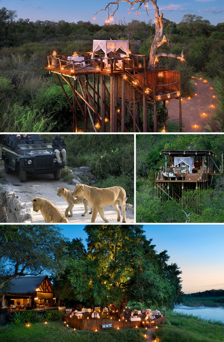 Lion Sands Game Reserve: A Luxury Resort In The Heart Of South African ...