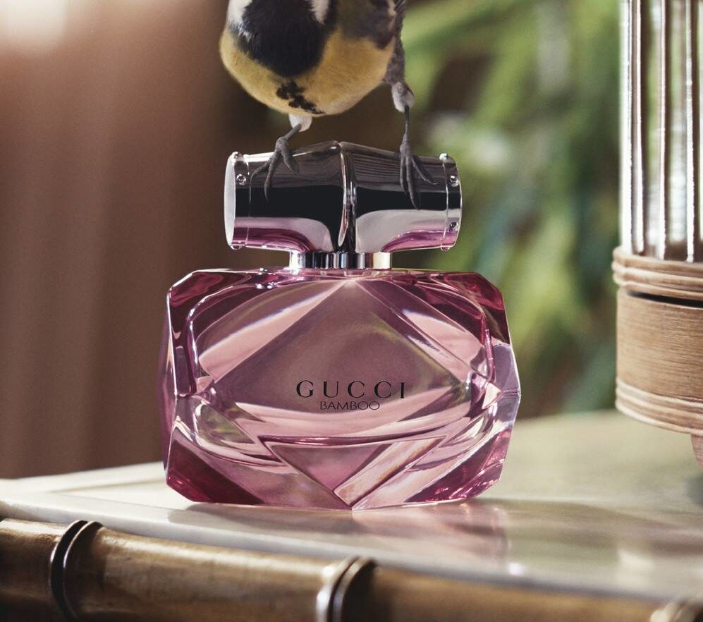 Los nuevos perfumes para este año