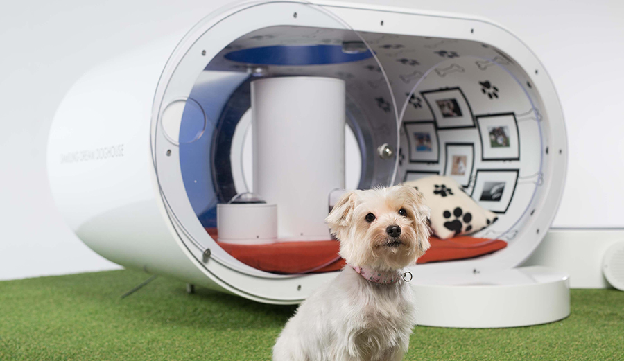 Samsung Creates The Dream Luxury House For Dogs