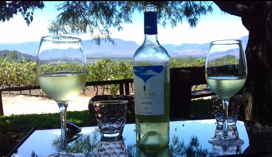 The Secret Of TorrontÃ©s: A Captivating Argentinean Wine