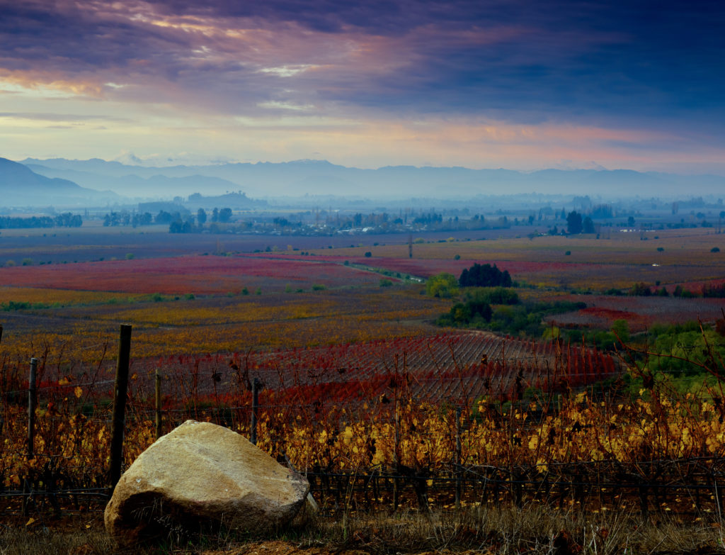 Rest, Mountains And The Finest Wines Of Chile