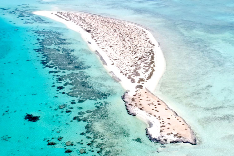 Saudi Arabia to Open Red Sea Tourist Resorts to Travelers